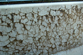 New FHWA Program To Combat ASR in Concrete - April 2007 - FHWA-HRT-07 ...